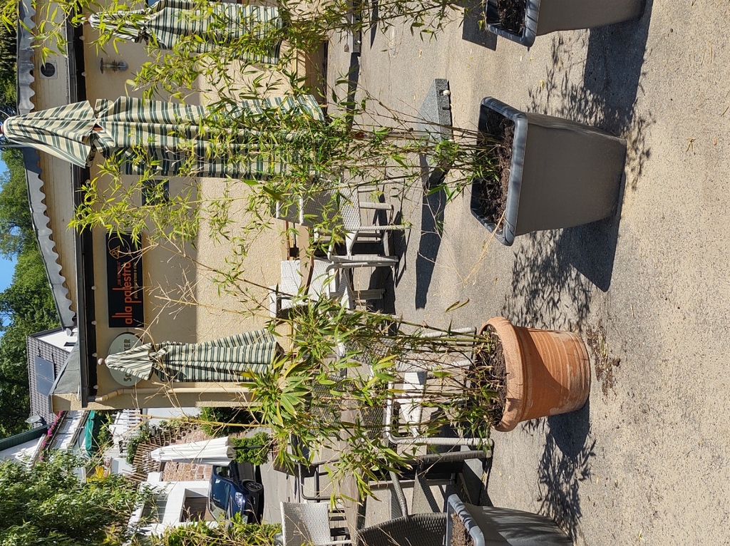 Vereinshaus | TSG 91/09 Lützelsachsen